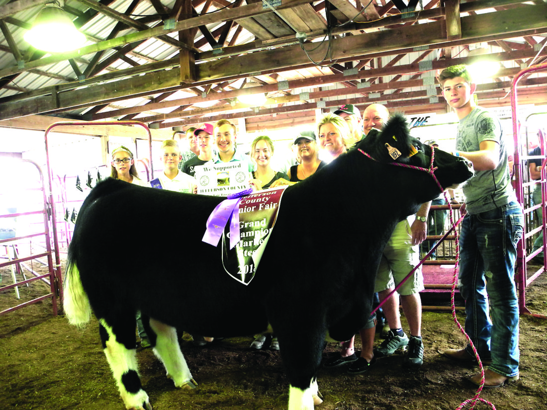 Livestock sale among fair highlights | News, Sports, Jobs - The Herald Star